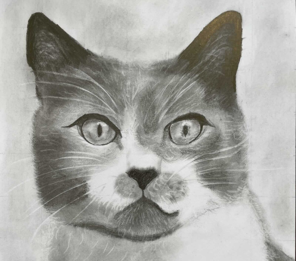 Rajz és kép galéria - Menő Manó Rajz Stúdió