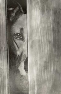 Rajz és kép galéria - Menő Manó Rajz Stúdió