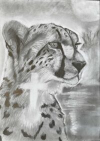 Rajz és kép galéria - Menő Manó Rajz Stúdió