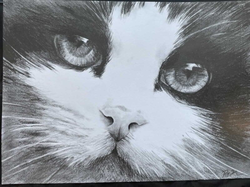 Rajz és kép galéria - Menő Manó Rajz Stúdió