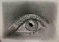 Rajz és kép galéria - Menő Manó Rajz Stúdió