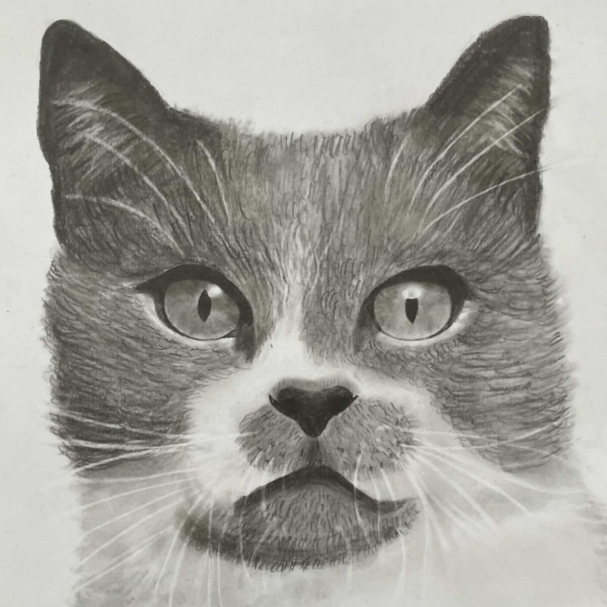 Rajz és kép galéria - Menő Manó Rajz Stúdió