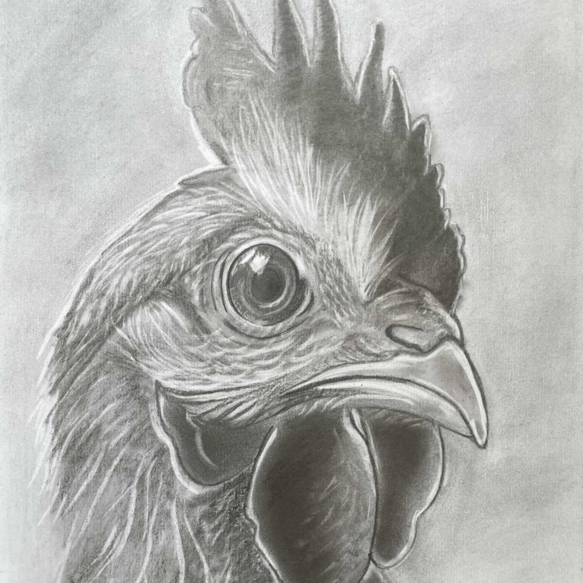 Rajz és kép galéria - Menő Manó Rajz Stúdió