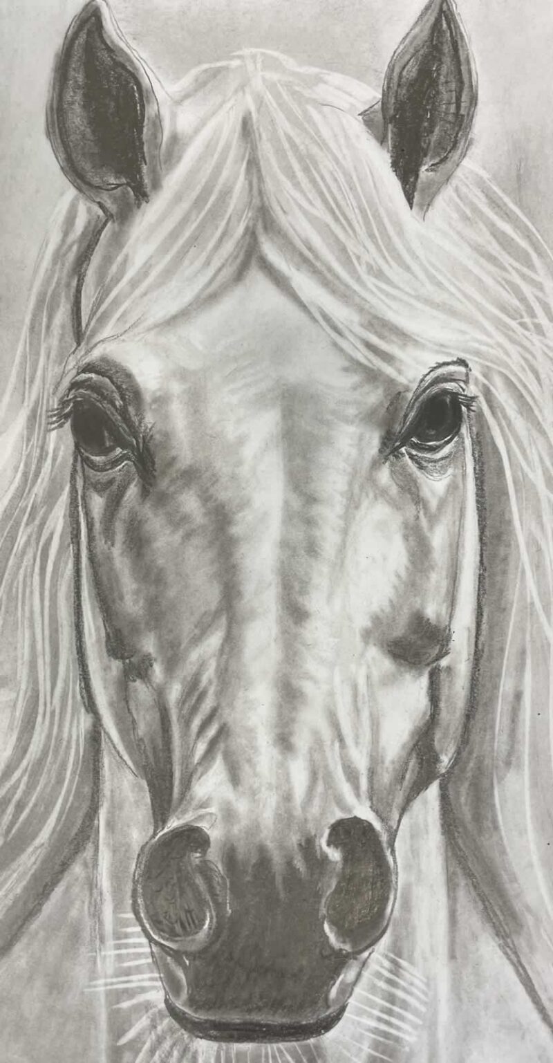 Rajz és kép galéria - Menő Manó Rajz Stúdió